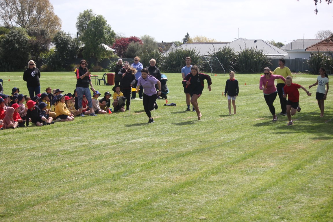 Physical Education and Sport